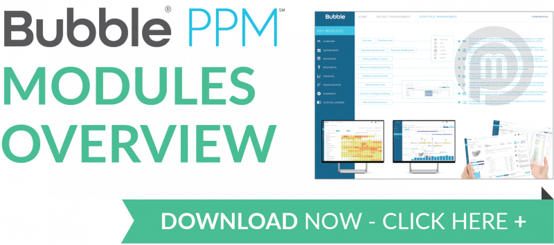 Bubble PPM for Portfolio Managers & Leadership – Bubble PPM Software